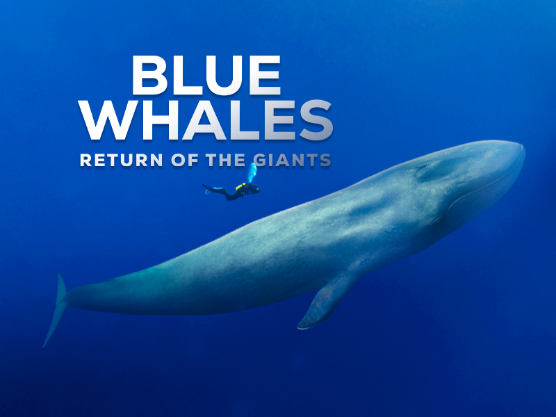 Home - Arizona Science Center